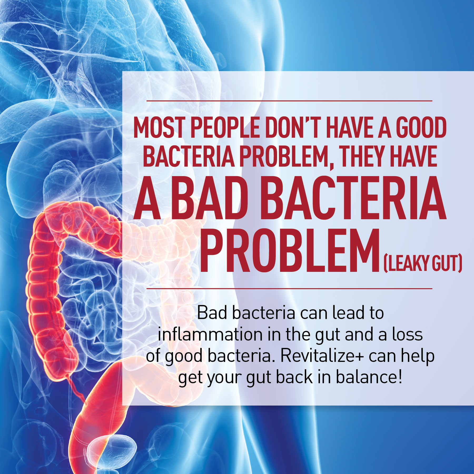 Best Sellers - Health Plus Inc